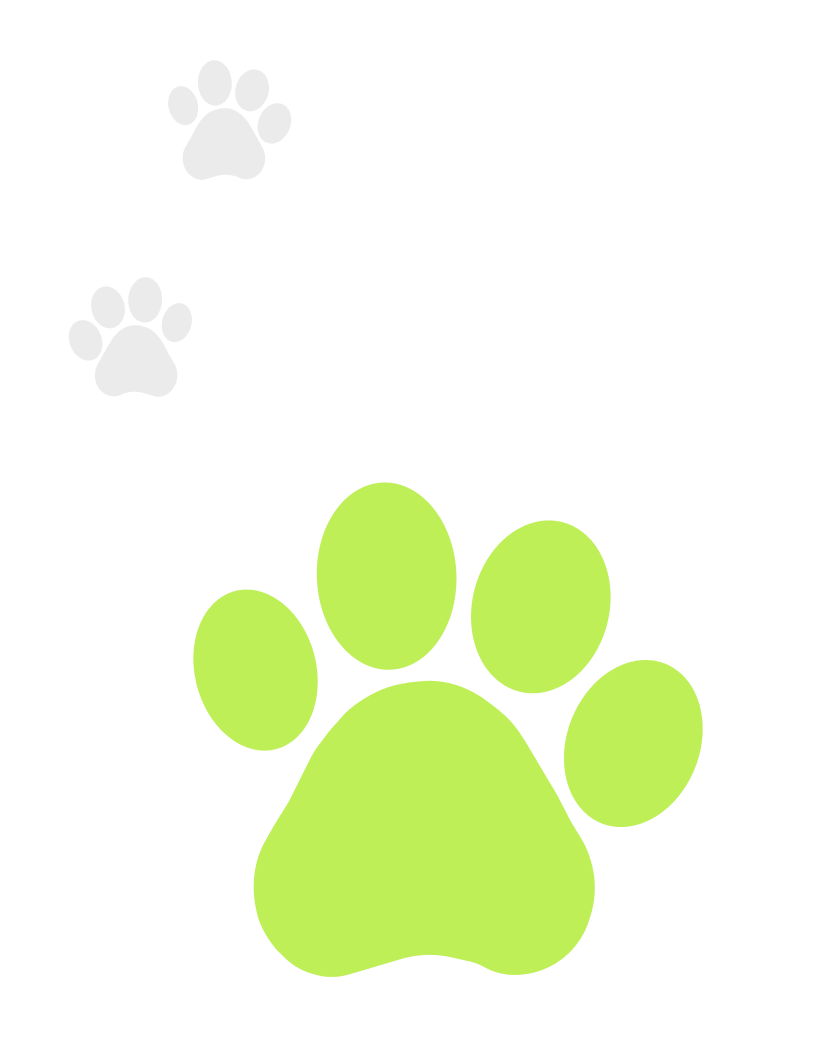 Strong Password Generator Generate Strong Passwords Stay Safe